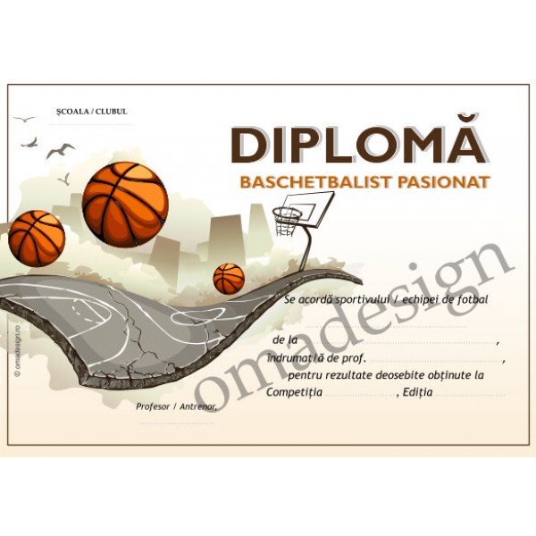 Diploma Baschet 01 - DSP20