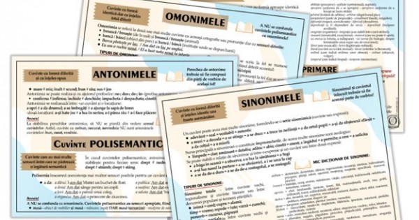 Set 4 Planse Antonime - Omonime - Sinonime - Paronime (gimnaziu - liceu ...